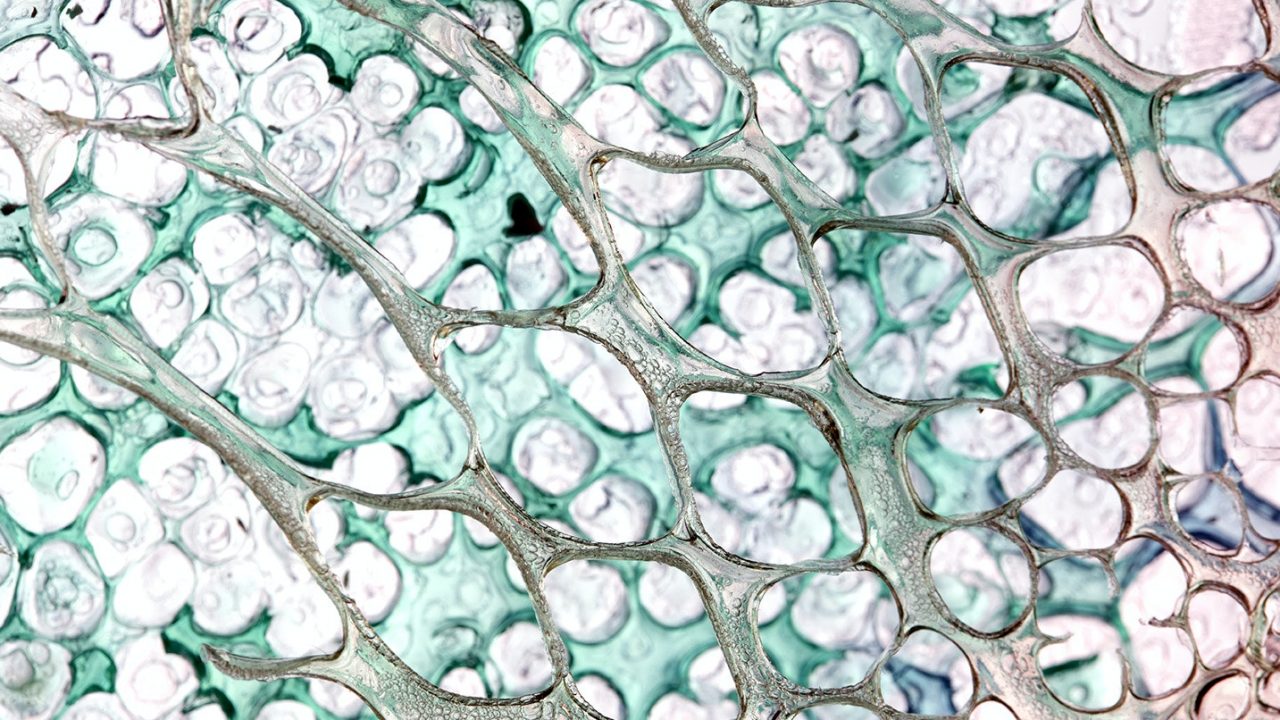 Modulor x ArtConnect: Open Call Gewinnerin Scarlett Yang | Modulor